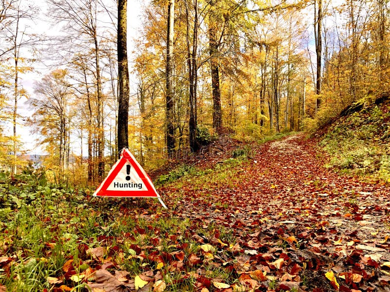 Hunting Warning Sign in the Forest in Fall Stock Photo - Image of ...