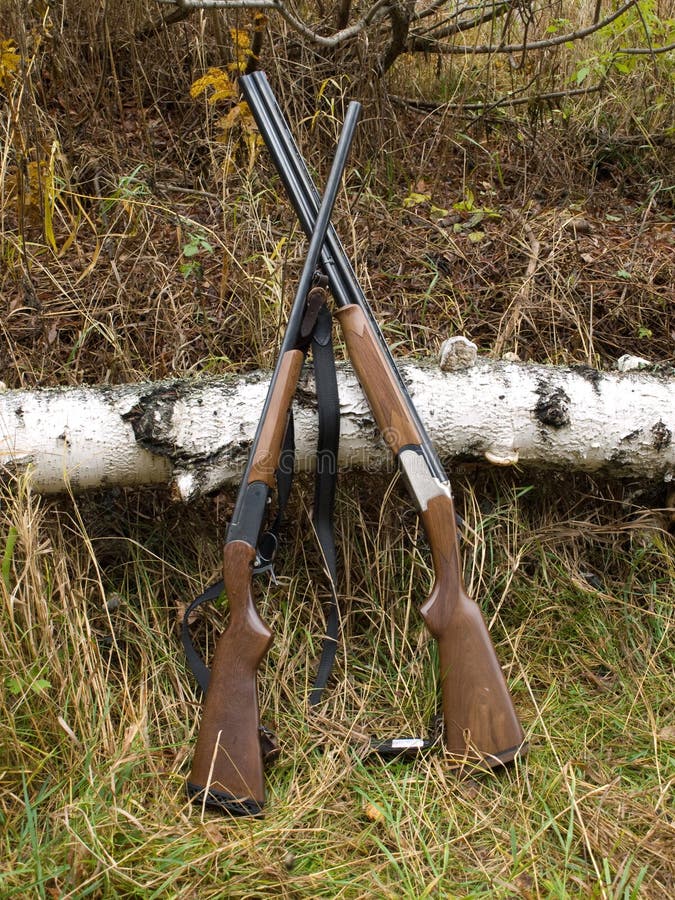Hunting weapon stock photo. Image of hunt, tree, moss - 22130928