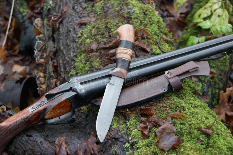 Hunting weapon stock photo. Image of hunt, tree, moss - 22130928