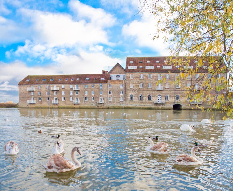 Huntingdon Great Ouse River Bank Stock Photo - Image of blue, bank ...
