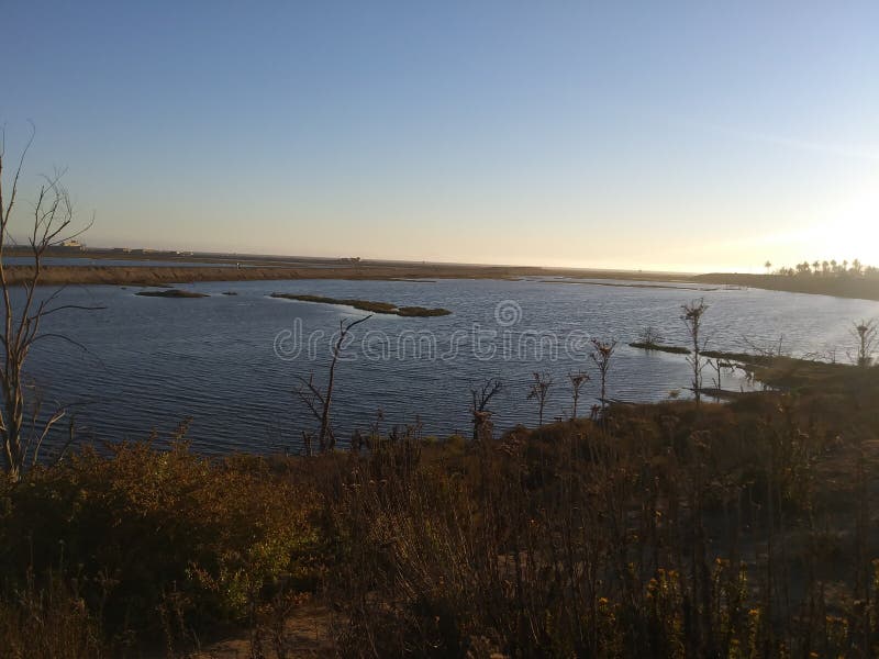 Wetlands stock image. Image of wetlands, swamp, beach - 128474499