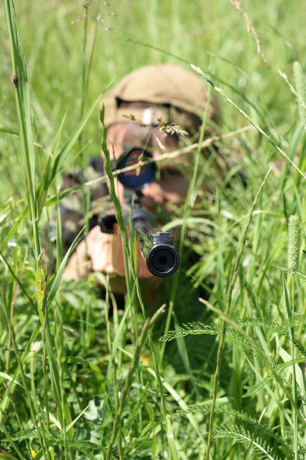 Sniper Rifle in Grass stock image. Image of defense, mounted - 3489045
