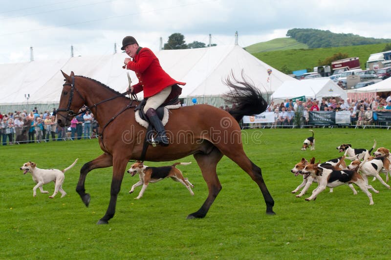 Huntsman and Hounds editorial photo. Image of cumbria - 16023661