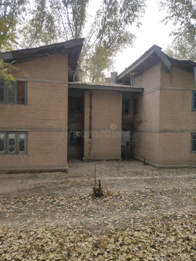 65 Year Old Looking 20 Stock Photos - Free & Royalty-Free Stock Photos ...