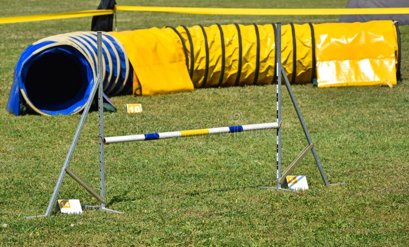 Hurdle Gate and Tunnel of the Dog Agility Contest Stock Image - Image ...