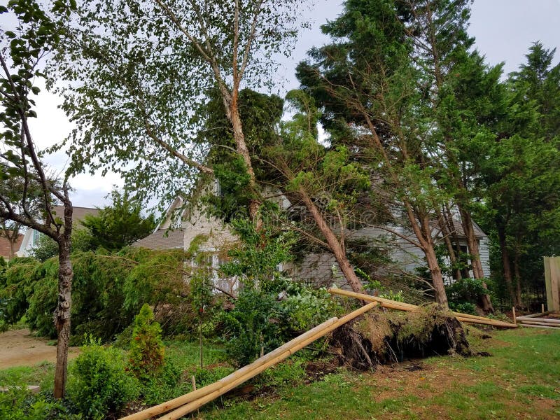 Hurricane Damage stock photo. Image of knocked, rain - 77147460