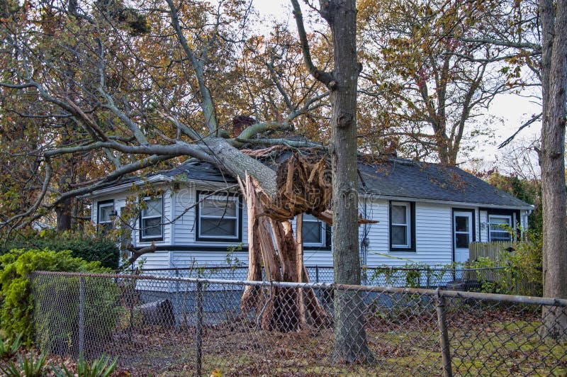 Hurricane Damage stock photo. Image of autumn, splintered - 51453038