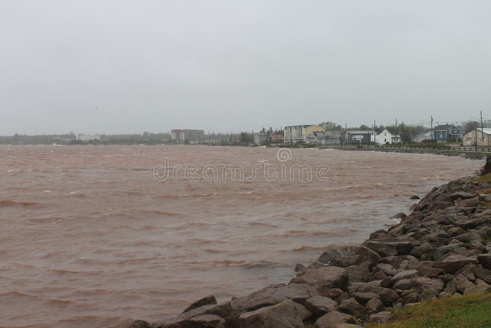 Hurricane Fiona stock image. Image of fiona, tree, hurricane - 257186725