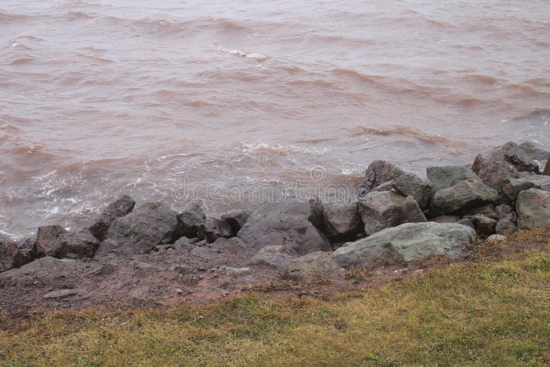 Hurricane Fiona stock image. Image of tree, cracked - 257186797