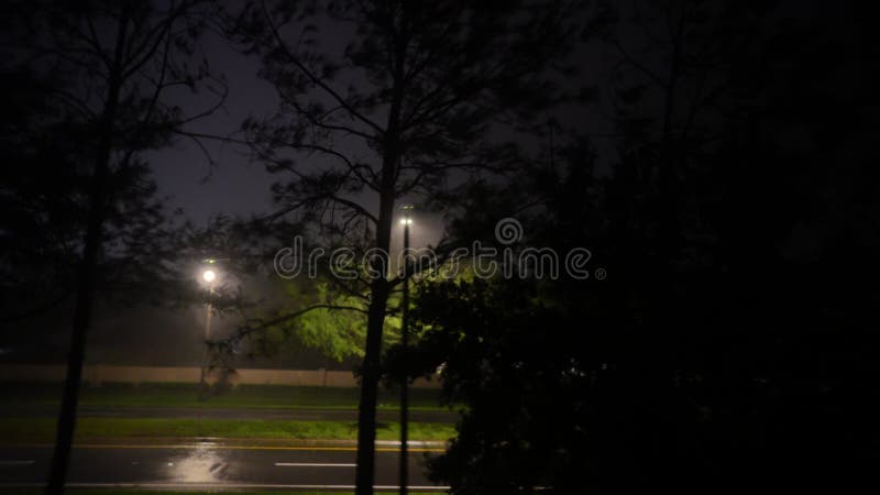 Hurricane Gale Gust Wind, Heavy Rain and Lightning on Landfall Stock ...