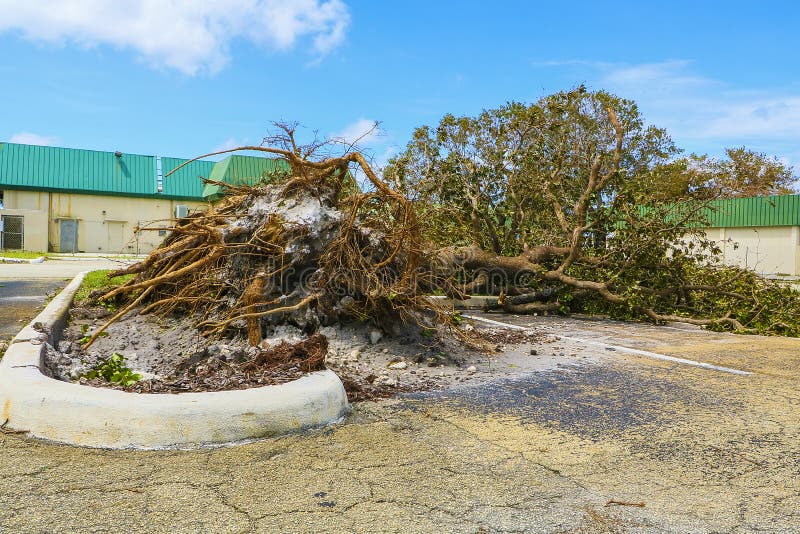 Hurricane Irma Damage stock photo. Image of damage ...