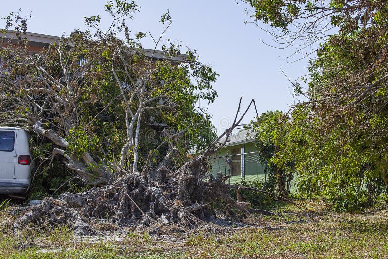 Hurricane Irma Damage stock photo. Image of boca, delray - 99984354