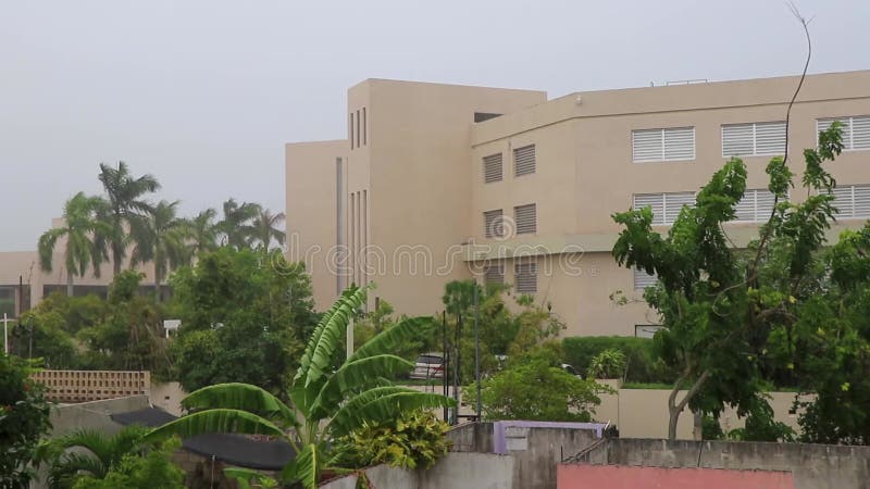 Hurricane 2021 Playa Del Carmen Mexico Destruction Devastation Broken ...