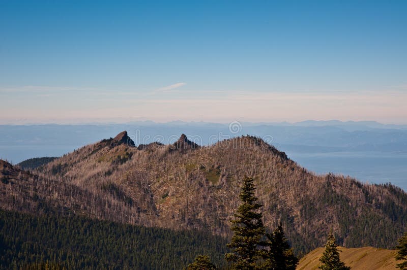 Hurricane Ridge stock photo. Image of altitude, pacific - 37949654
