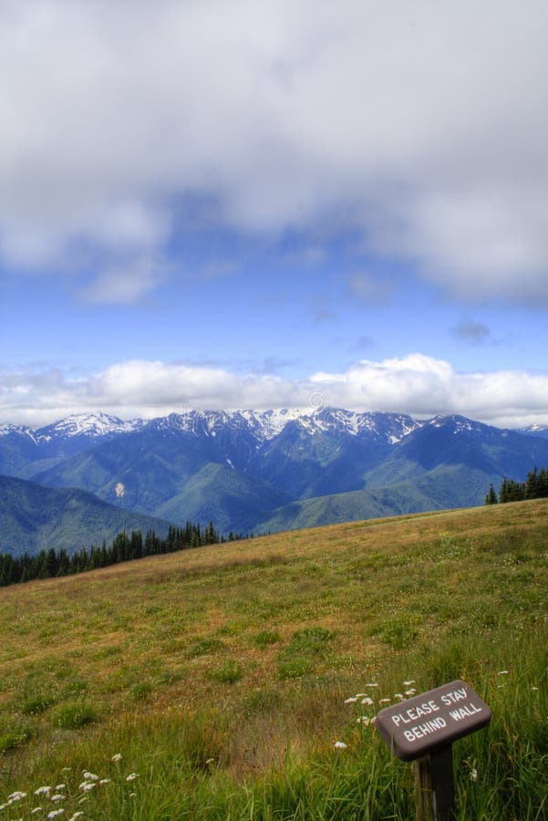 Hurricane Ridge stock photo. Image of landscape, sunny - 7089596