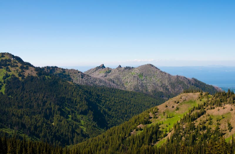 Hurricane Ridge Mountain Landscape Stock Photo - Image of national ...