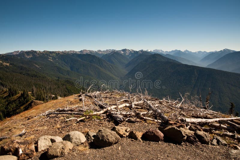 Hurricane Ridge stock image. Image of hill, meadow, park - 37656445