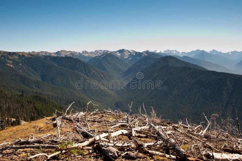 Hurricane Ridge stock image. Image of hill, landscape - 37656469