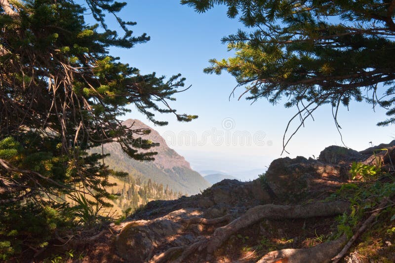 Hurricane Ridge stock photo. Image of natural, landscape - 38879090