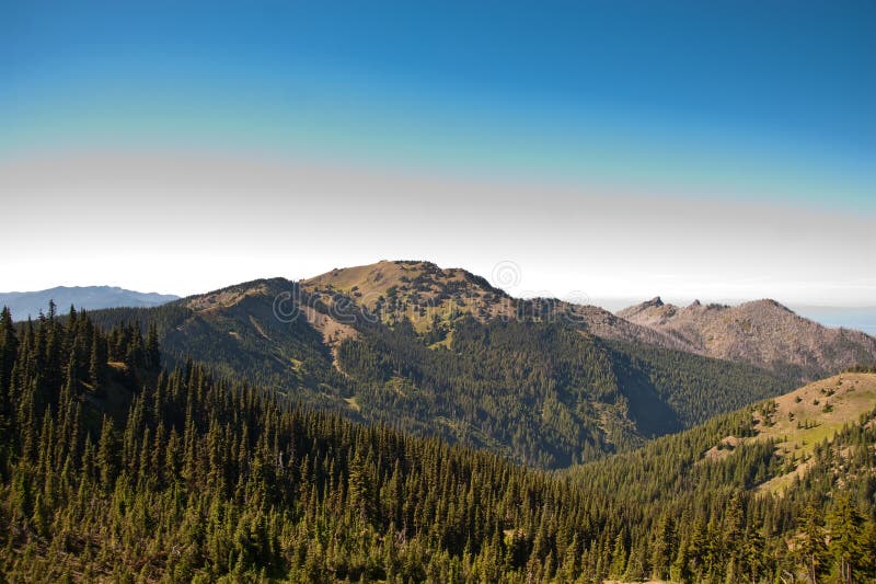 Hurricane Ridge stock photo. Image of outdoors, trees - 41781184