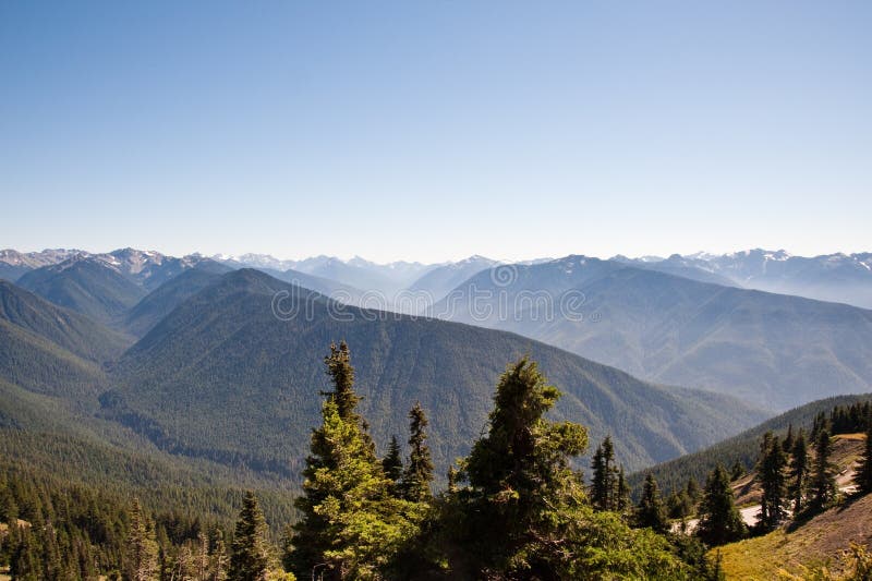 Hurricane Ridge stock photo. Image of valley, park, tree - 48318824