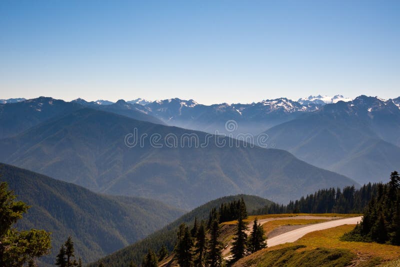 Hurricane Ridge stock photo. Image of nature, fields - 48318834