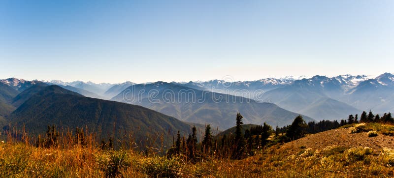 Hurricane Ridge stock photo. Image of olympic, hillside - 49032022