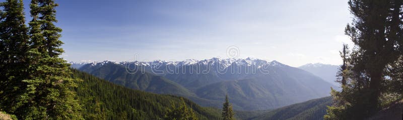 Panorama of Hurricane Ridge Mountain Landscape, Meadow, Olympic ...