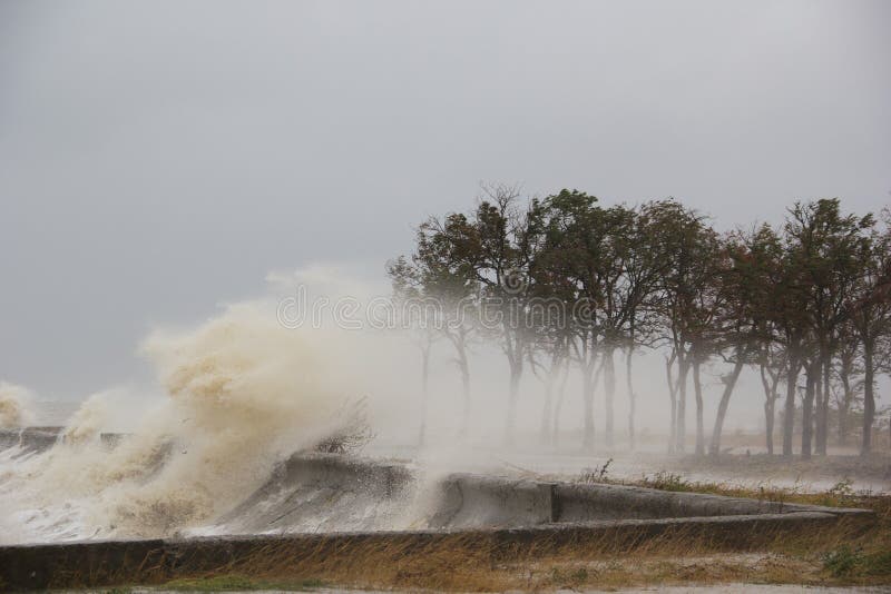 A hurricane at sea. stock image. Image of nature, azov - 126120207