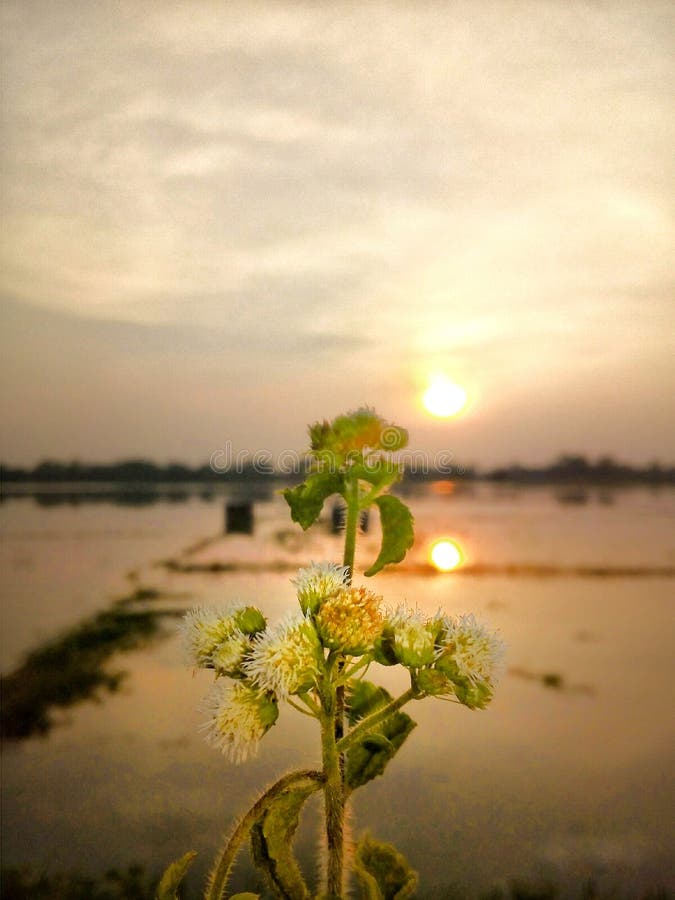 A hurt touching sunlight. stock image. Image of reflection - 210059273