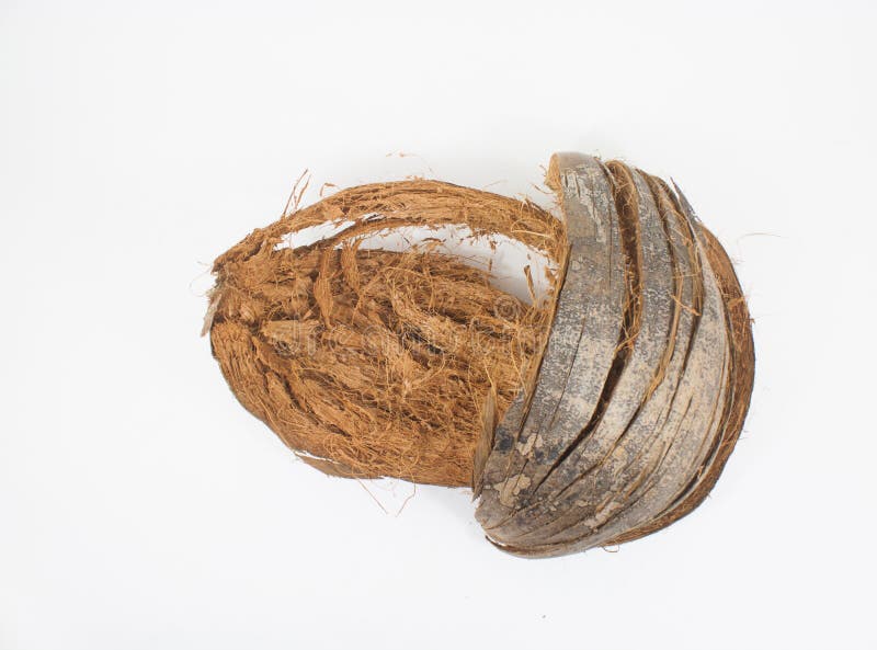 Dried coconut husk. stock photo. Image of natural, texture - 50985056