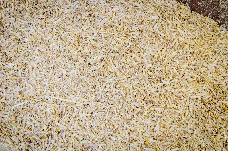 Husk of rice stock image. Image of abstract, brown, paddy - 37487061