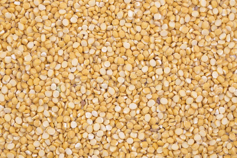 Husked brown gram pulse stock photo. Image of chick - 105601092