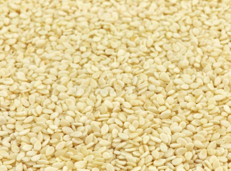 Sesame Seed stock photo. Image of object, food, healthy - 89160