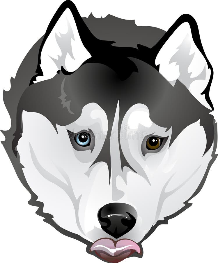 Plaintive Huskies Stock Illustrations – 1 Plaintive Huskies Stock ...
