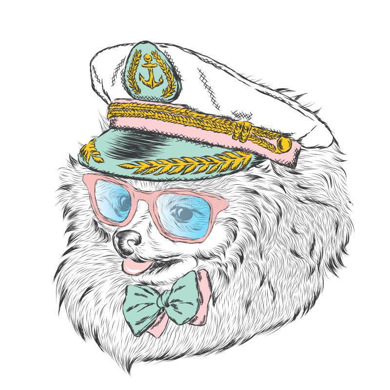 Husky in the Crown . Vector Illustration Stock Vector - Illustration of ...