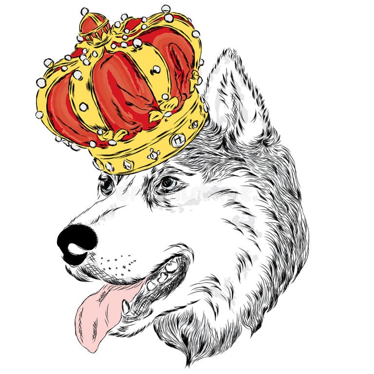 Husky in the Crown . Vector Illustration Stock Vector - Illustration of ...
