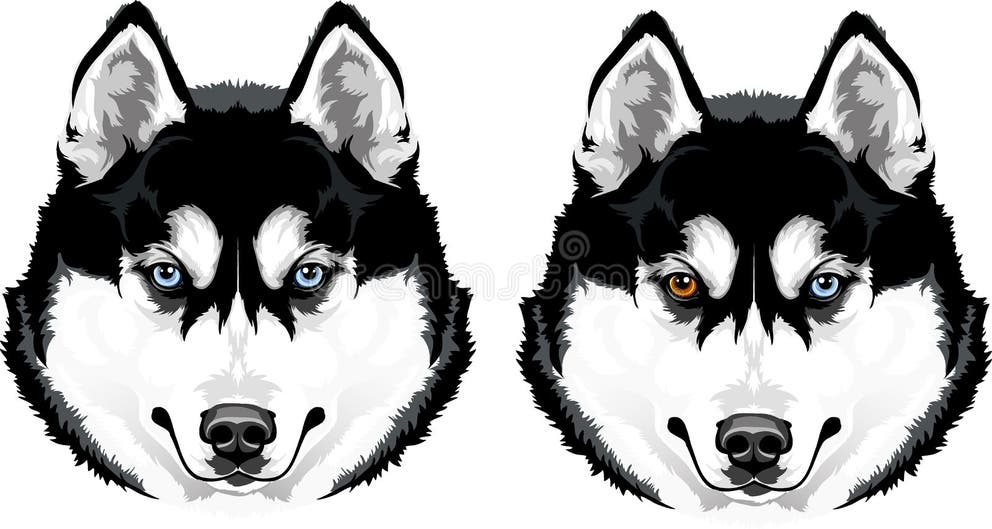 Husky Dog Head Drawing Stock Illustrations – 5,588 Husky Dog Head ...
