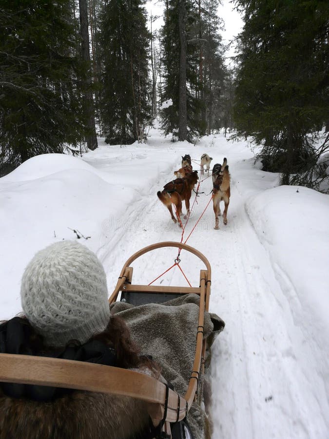 Vintage winter sled stock image. Image of sled, vintage - 501243