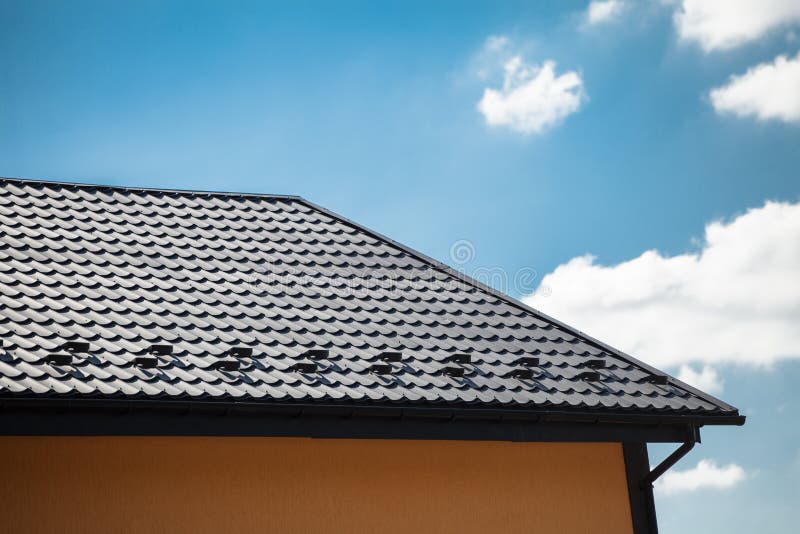 Hustak Foton - Download 3,725 Royalty Free Photos