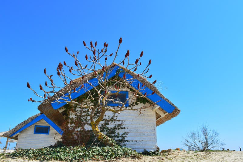 Hut stock photo. Image of tree, beautiful, romania, shack - 94034718