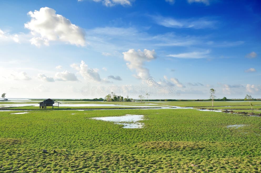 Hut on a bog stock photo. Image of grass, reflection - 28338606
