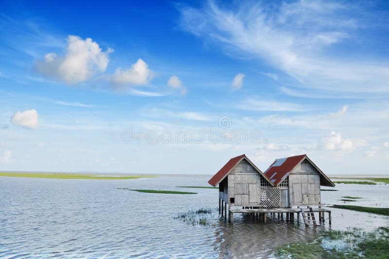 Hut on a bog in thailand stock image. Image of marsh - 28347115