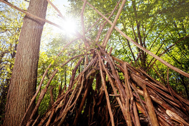 Hut of Branches in the Forest Over Sunlight Above Stock Photo - Image ...