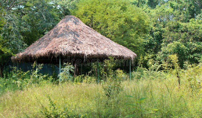 Thatched Coconut Leaf House Or Fishing Hut On Tropical Beach Stock ...