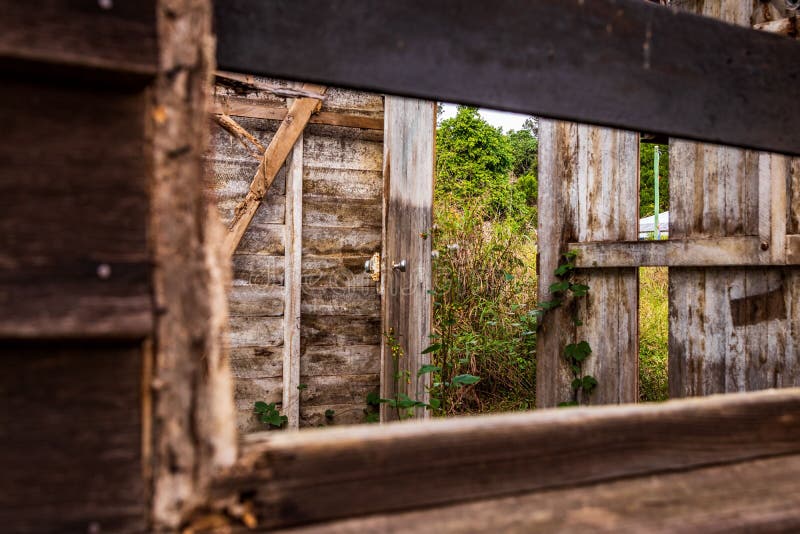Hut Crack View of the Open Door and Meadow Outside Stock Image - Image ...