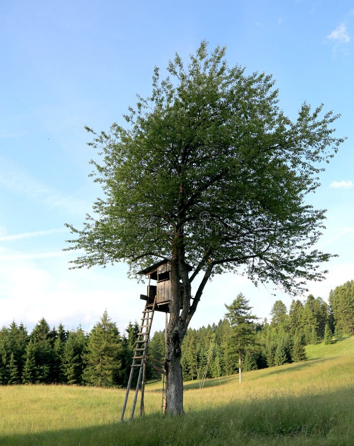 Hut for Hunters with Elevated Platform Stock Image - Image of forest ...