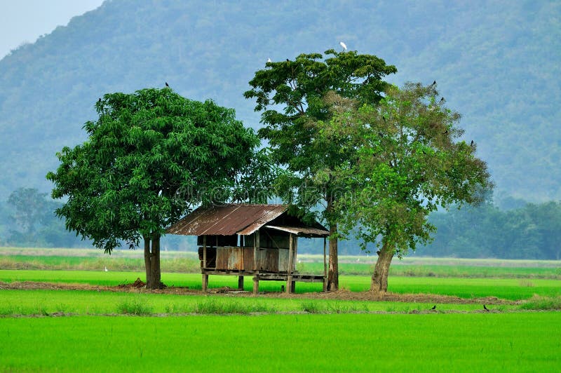 Hut in farm stock photo. Image of farm, cottage, mountain - 27983644