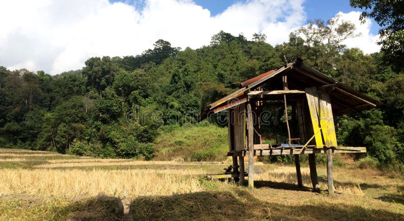 Hut in the farm stock photo. Image of landscape, culture - 64722356
