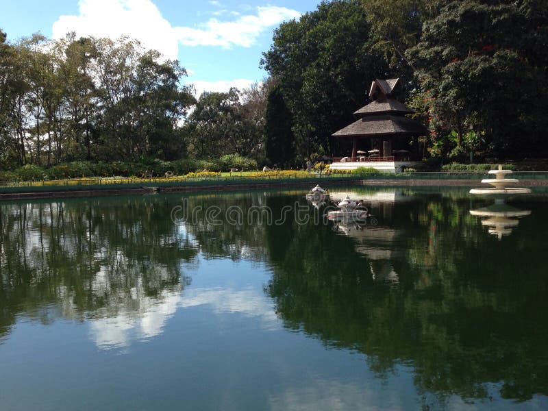 Hut in farm and water pool stock image. Image of pond - 102794193